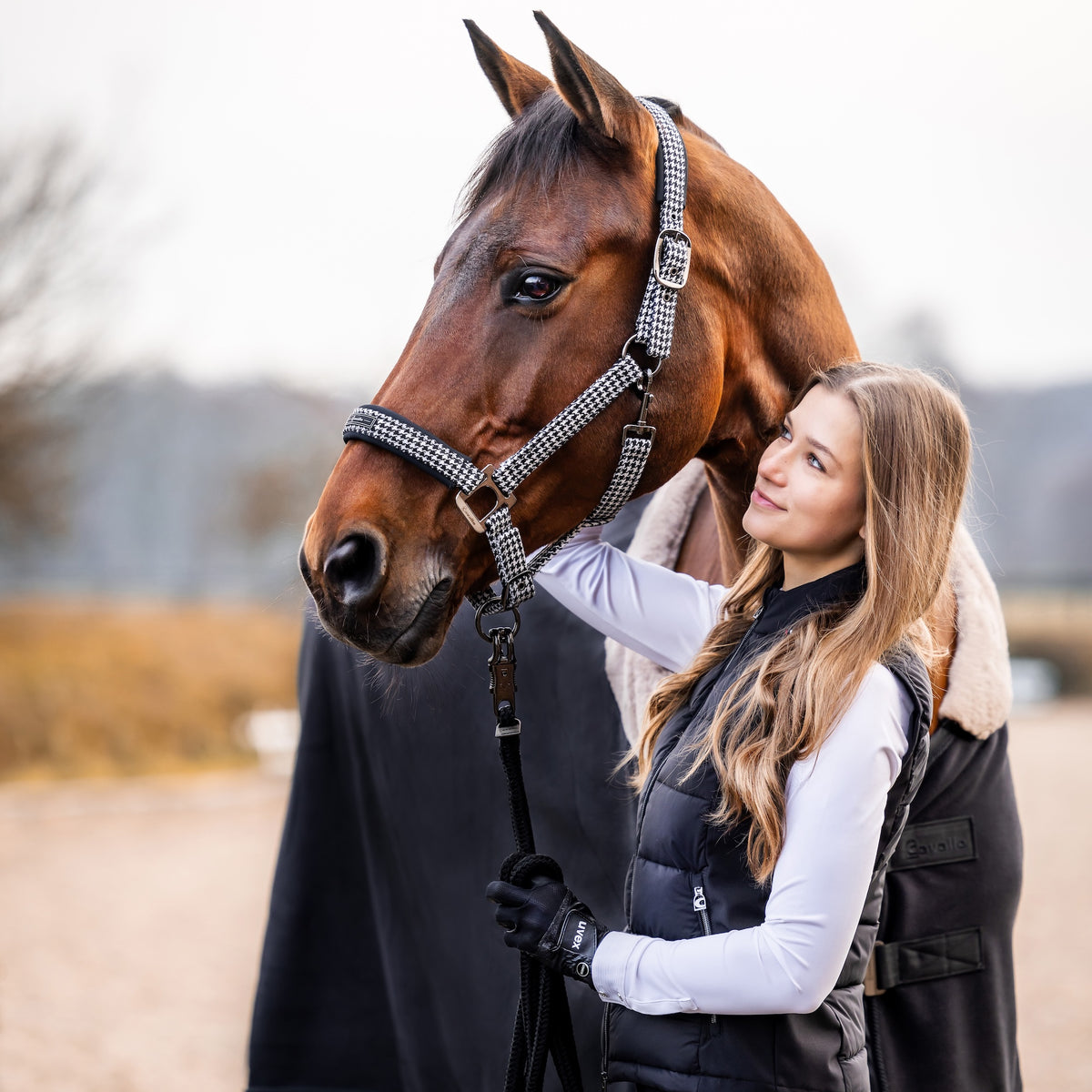 Cavallo CAVALPEPPY Horse Halter – Cavallo UK