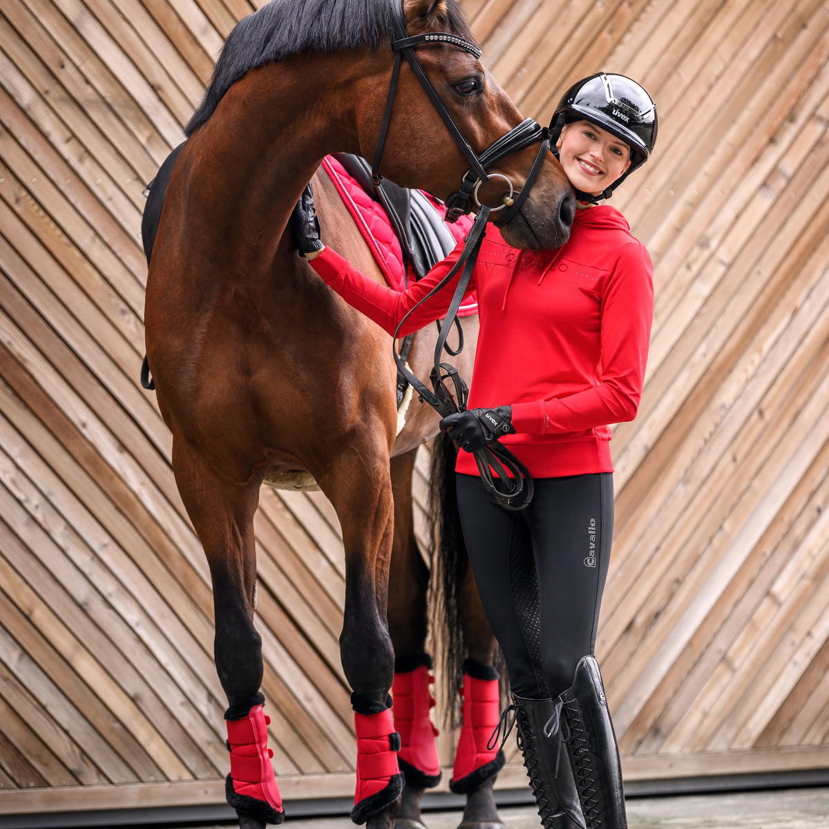 Cavallo CAVALJOCA Horse Brushing Boots – Cavallo UK